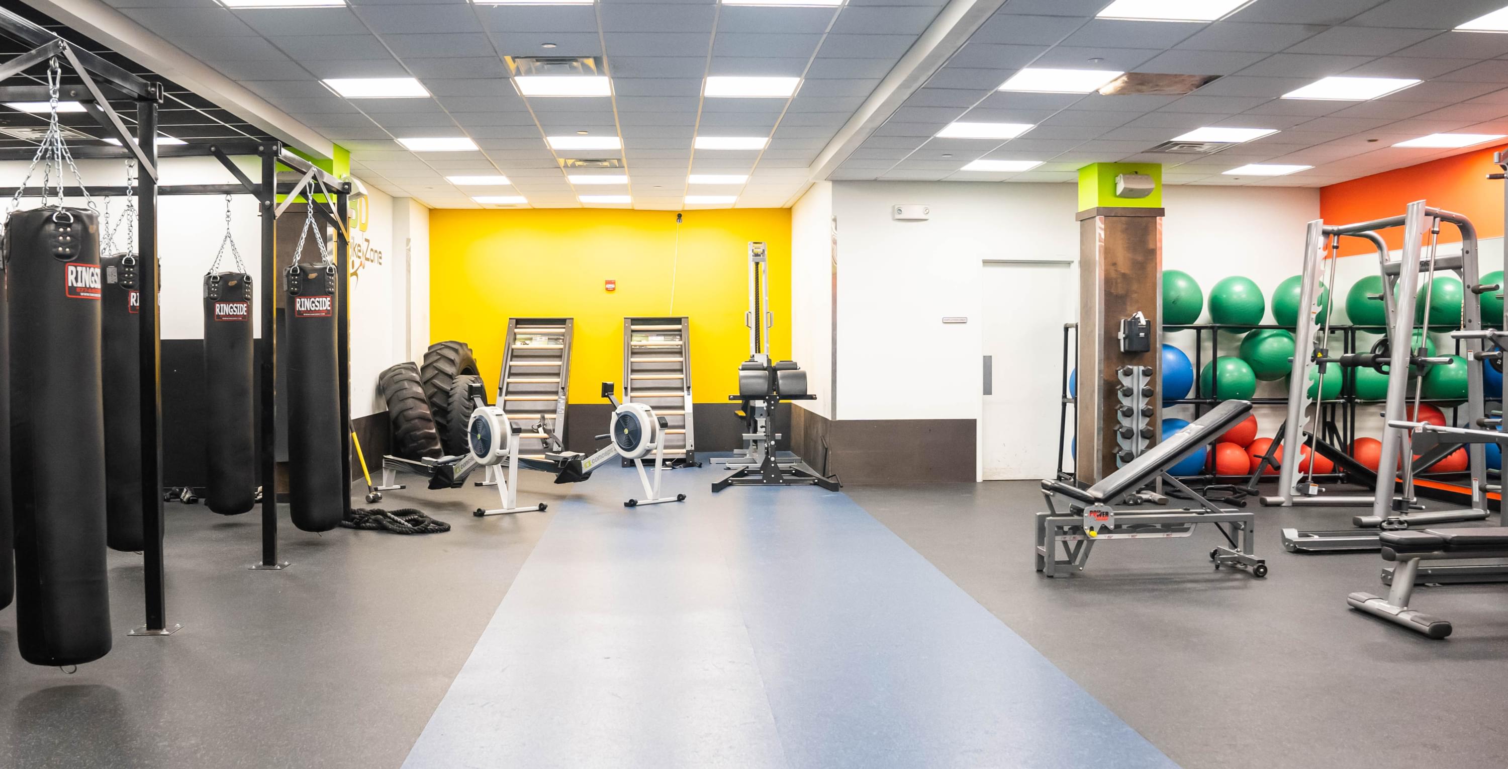 NBD Training Zone | FREE 14 Day VIP PASS